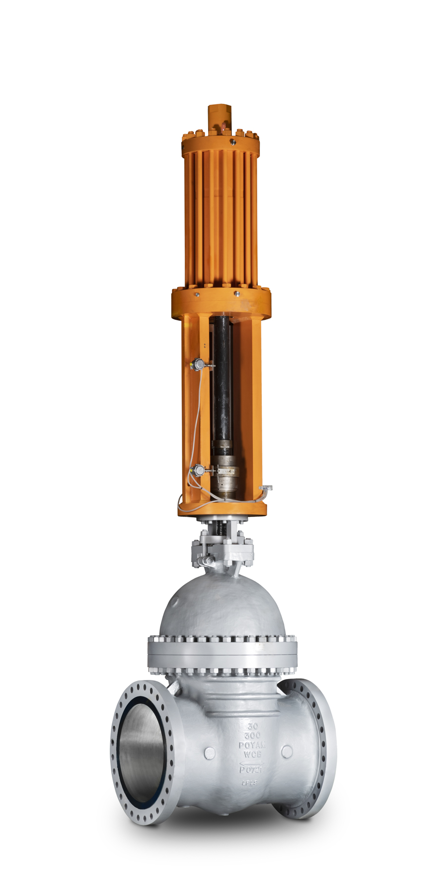 Bolted bonnet gate valve - Ampo