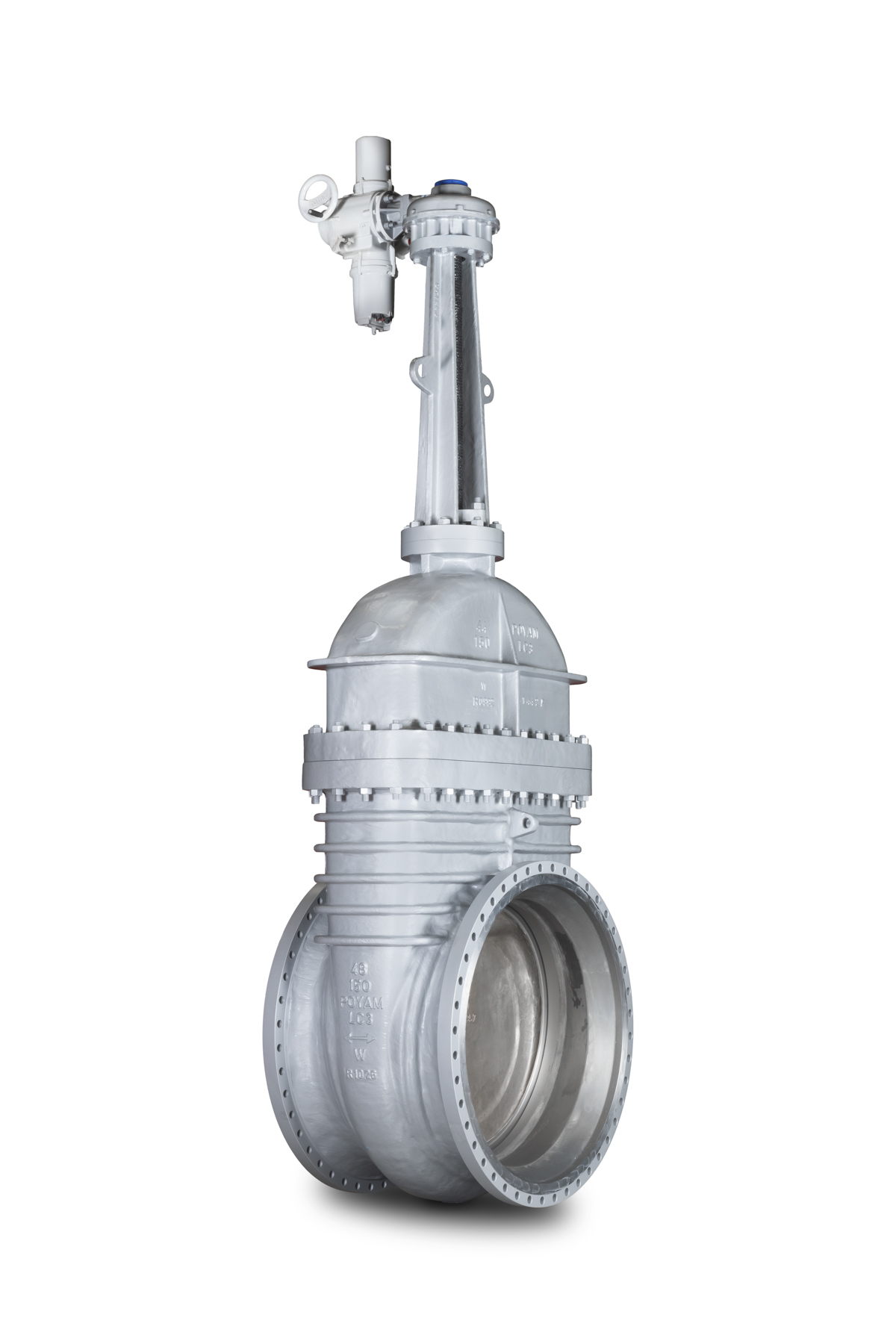 Cryogenic bolted bonnet gate valve - Ampo
