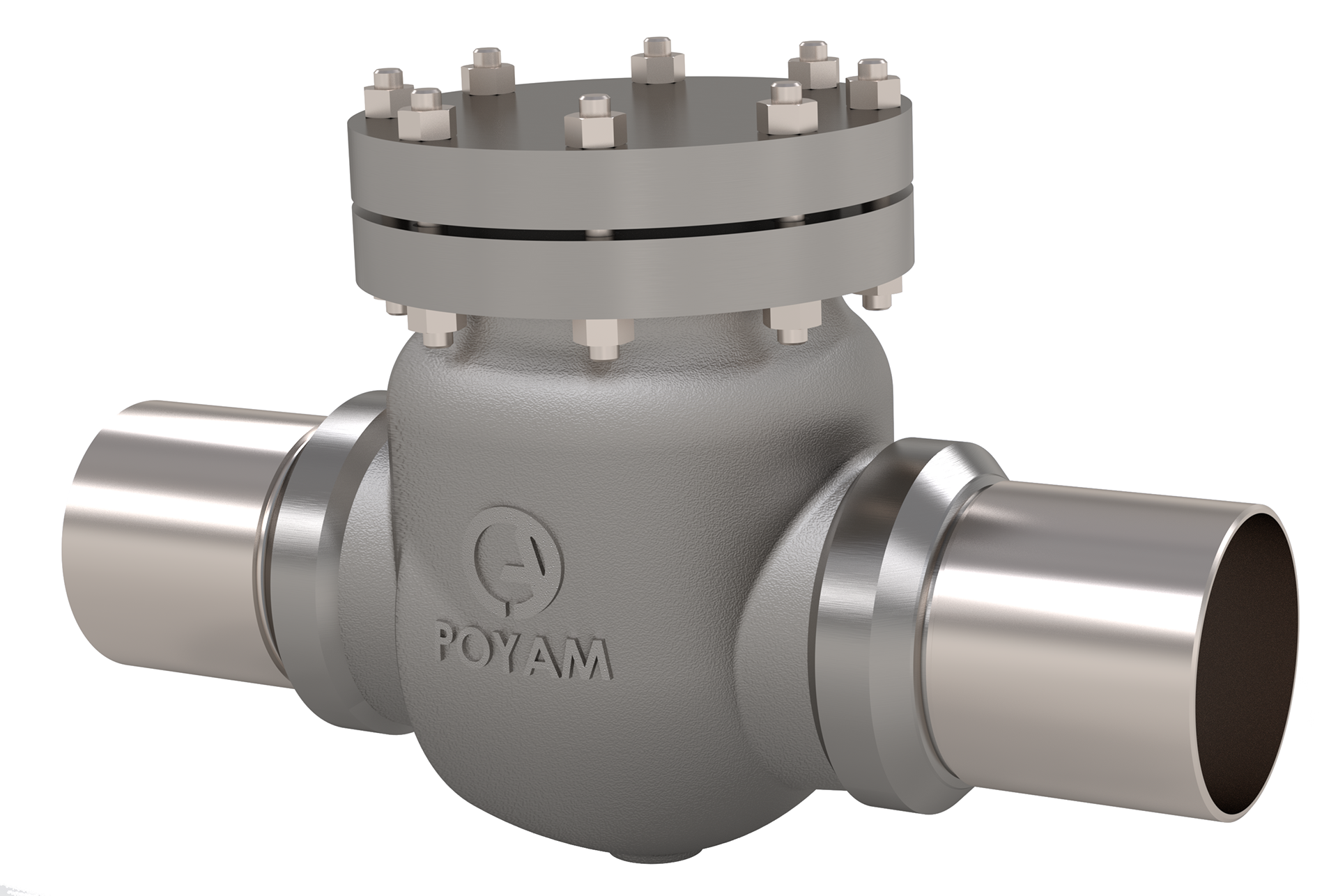 Bolted bonnet piston check valve - Ampo