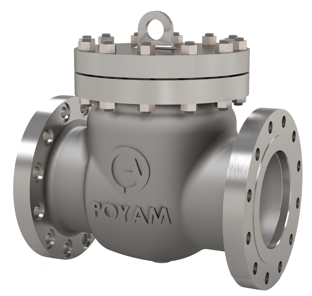 Cryogenic bolted bonnet piston check valve (lift check) - Ampo