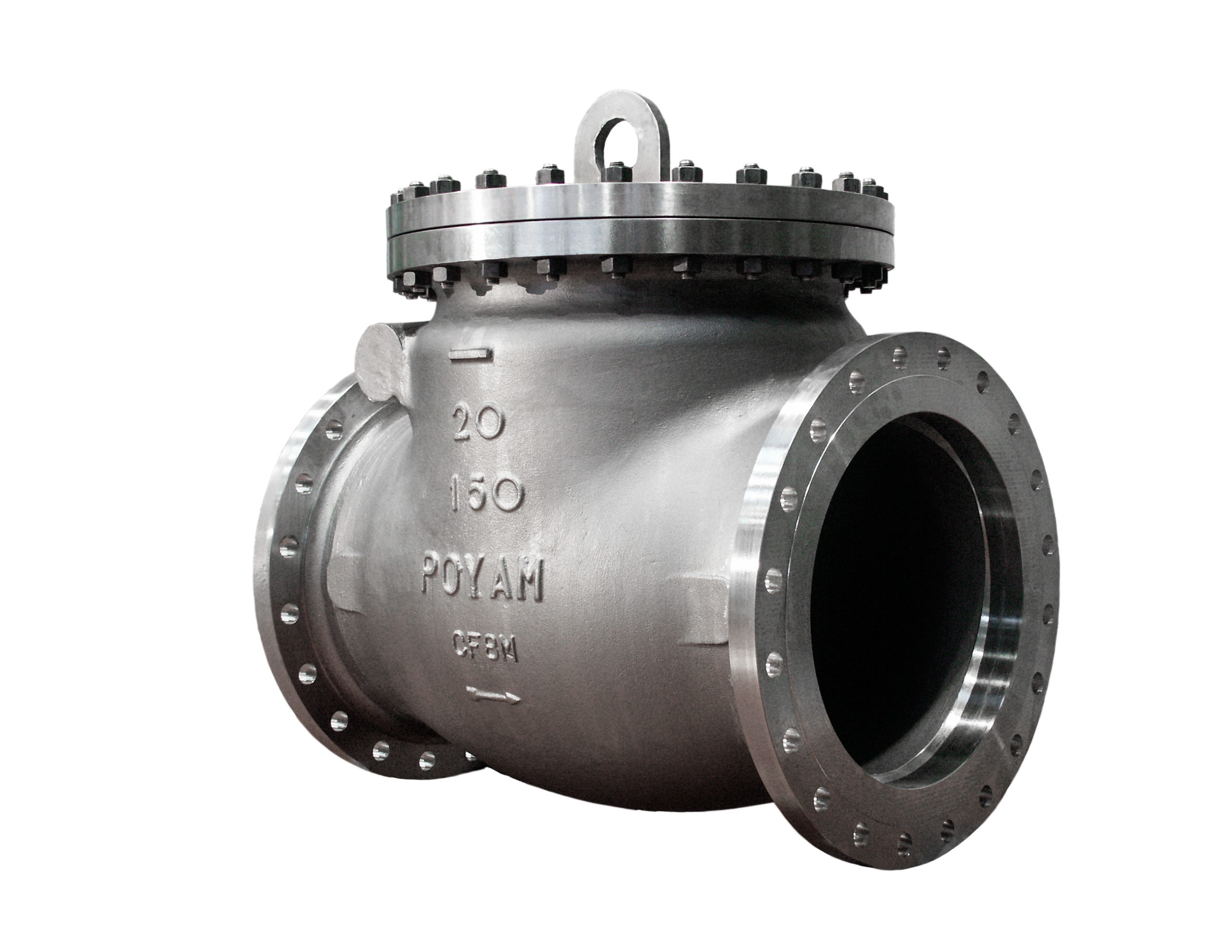 Cryogenic bolted bonnet swing check valve - Ampo