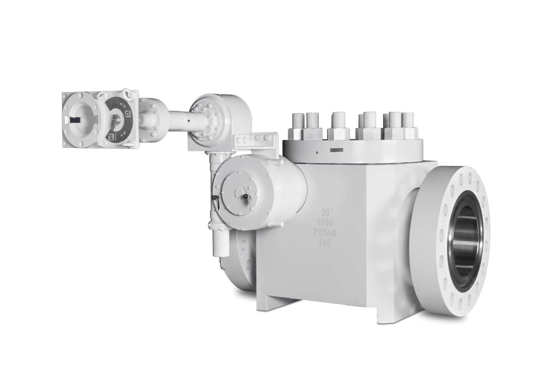 Subsea swing check valve - Ampo