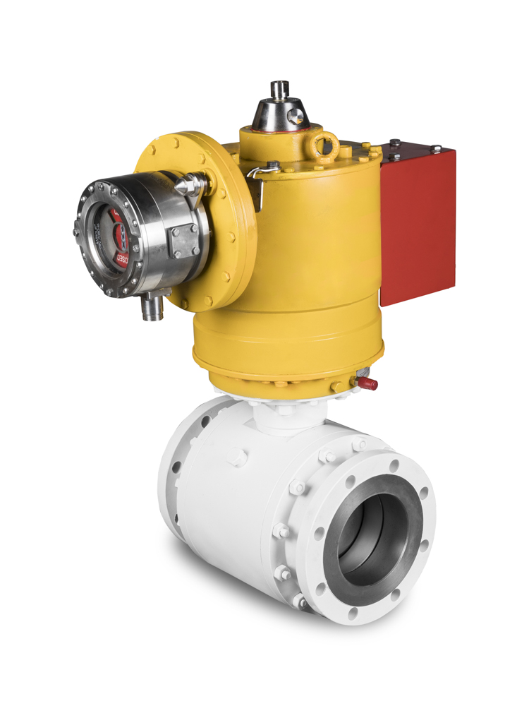 Jacket ball valves - Ampo