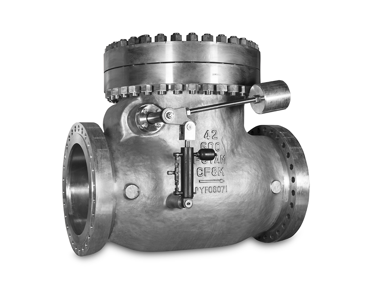 Bolted bonnet swing check valve - Ampo